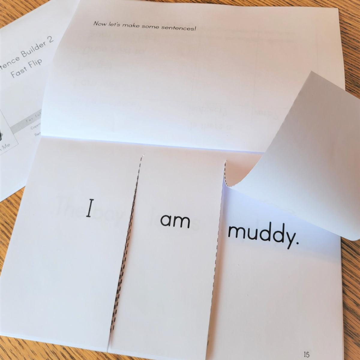 Fast Flip Bundle – Practice Readers Books